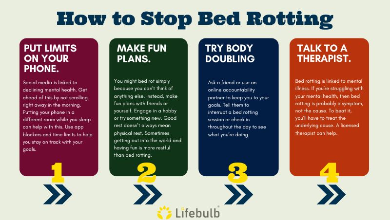 How to Stop Bed Rotting | Lifebulb